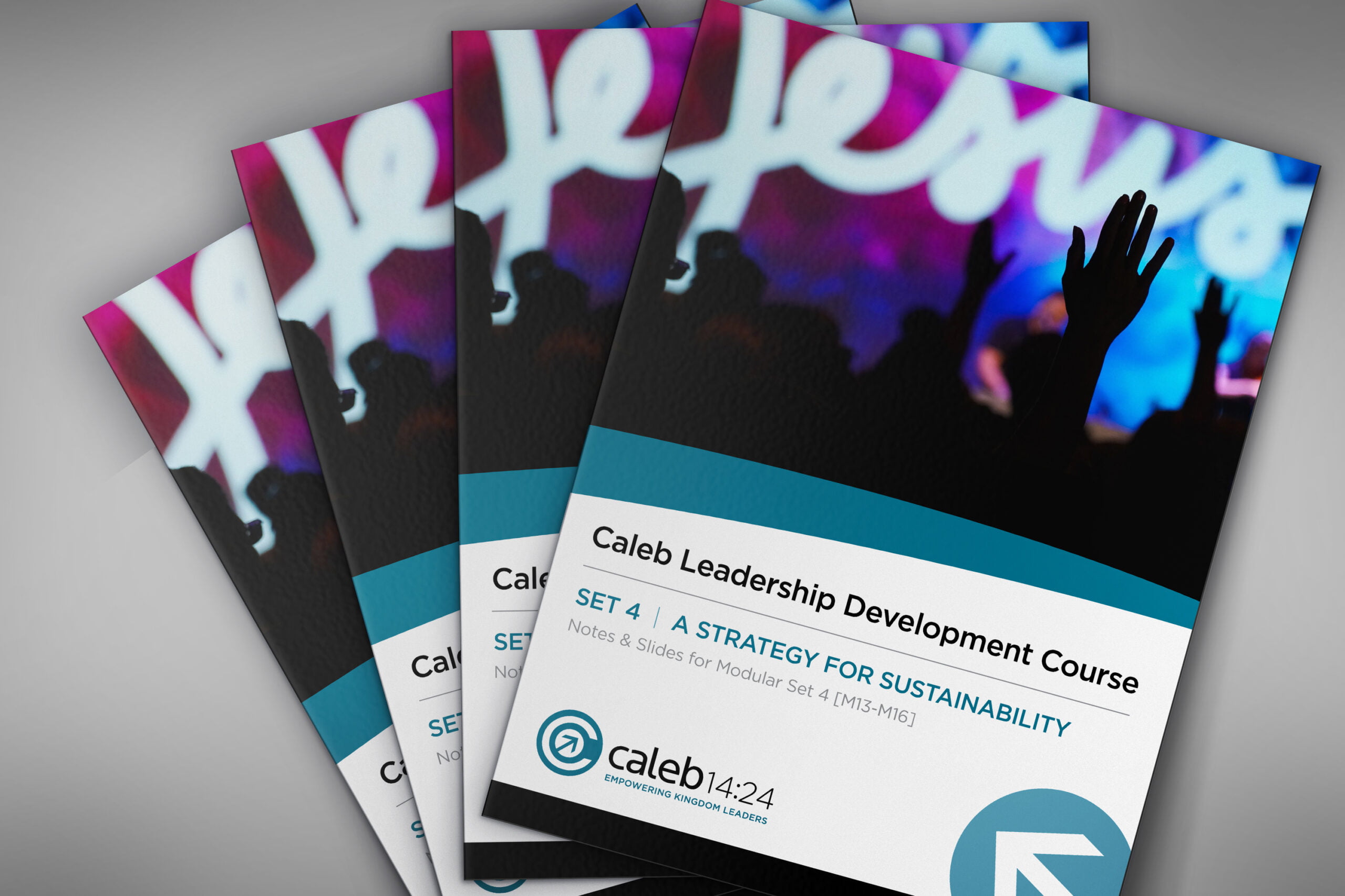 CLDC Set 4 - A Strategy For Sustainability - Caleb 14:24